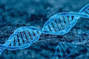 Síndrome de Phelan-McDermid – MIX Magazine – Radio en Pinamar